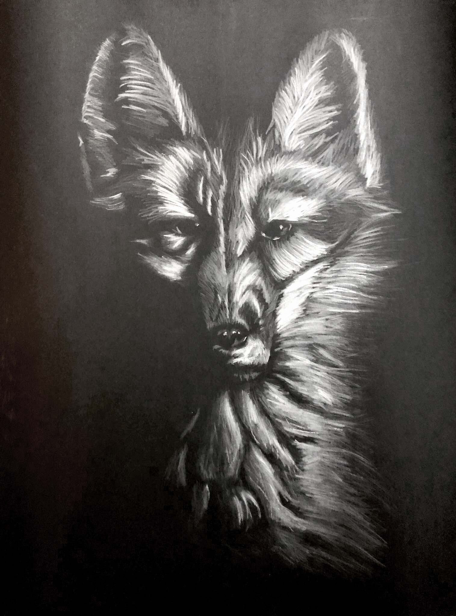 ArtStation - Inverse Drawing - Fox