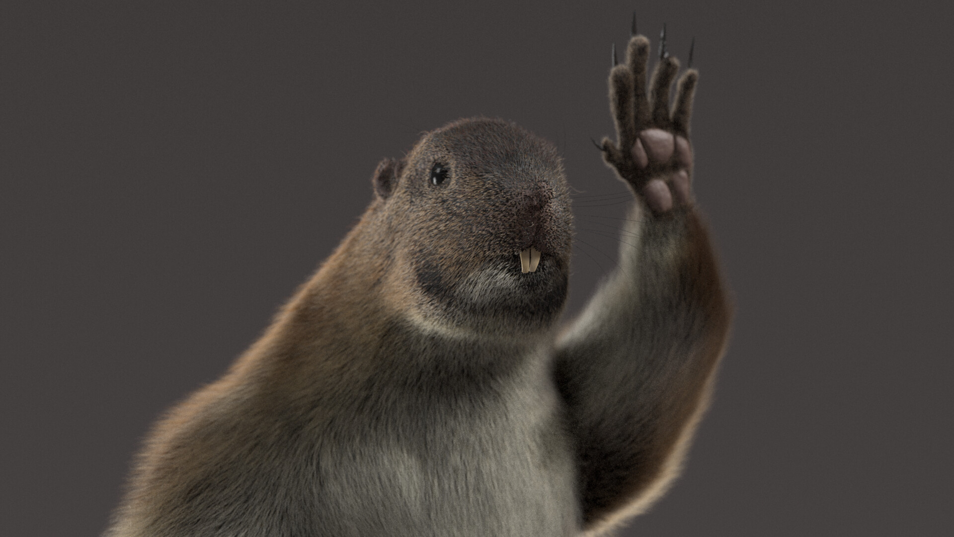 ArtStation - FUR - Marmot