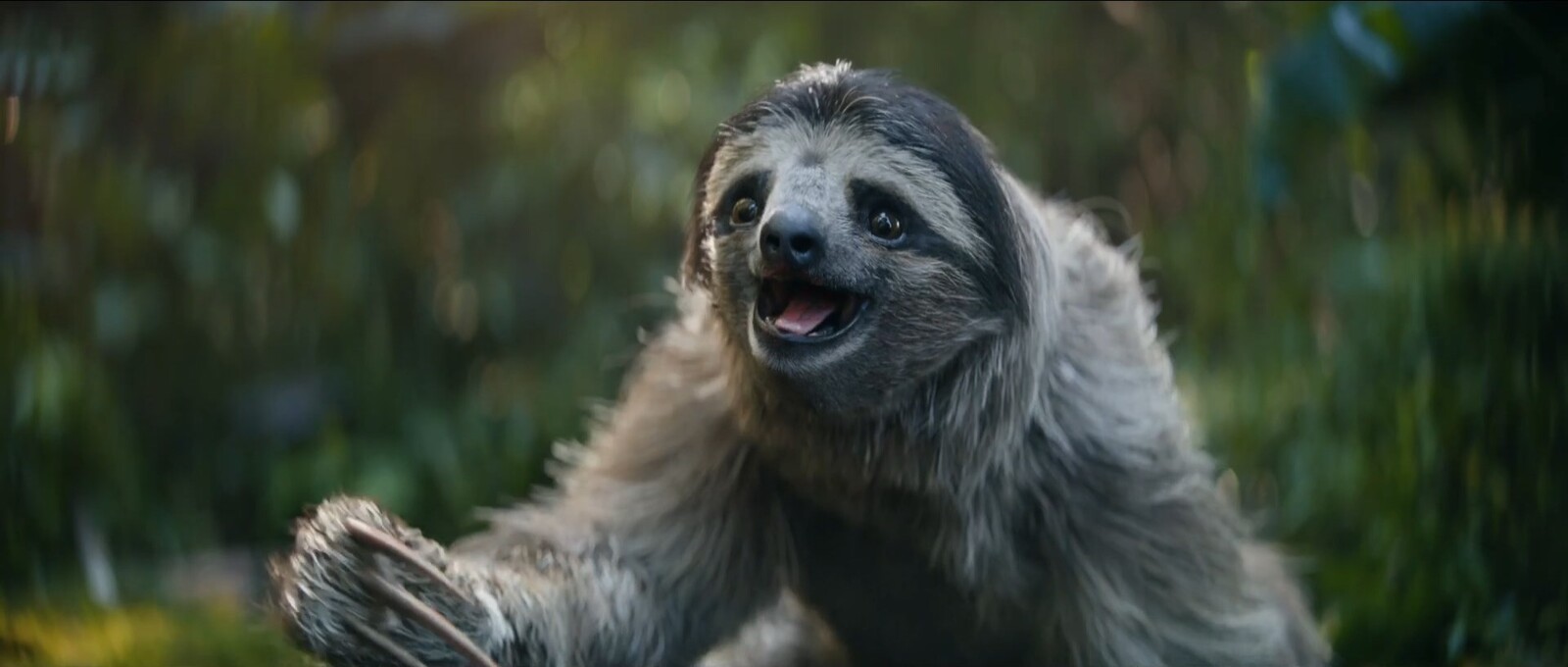 Jesus FC - Doritos - Sloth Groom