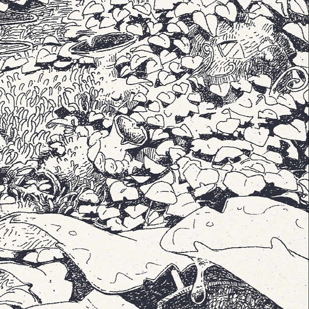 Alexander Chacón - Kingdom