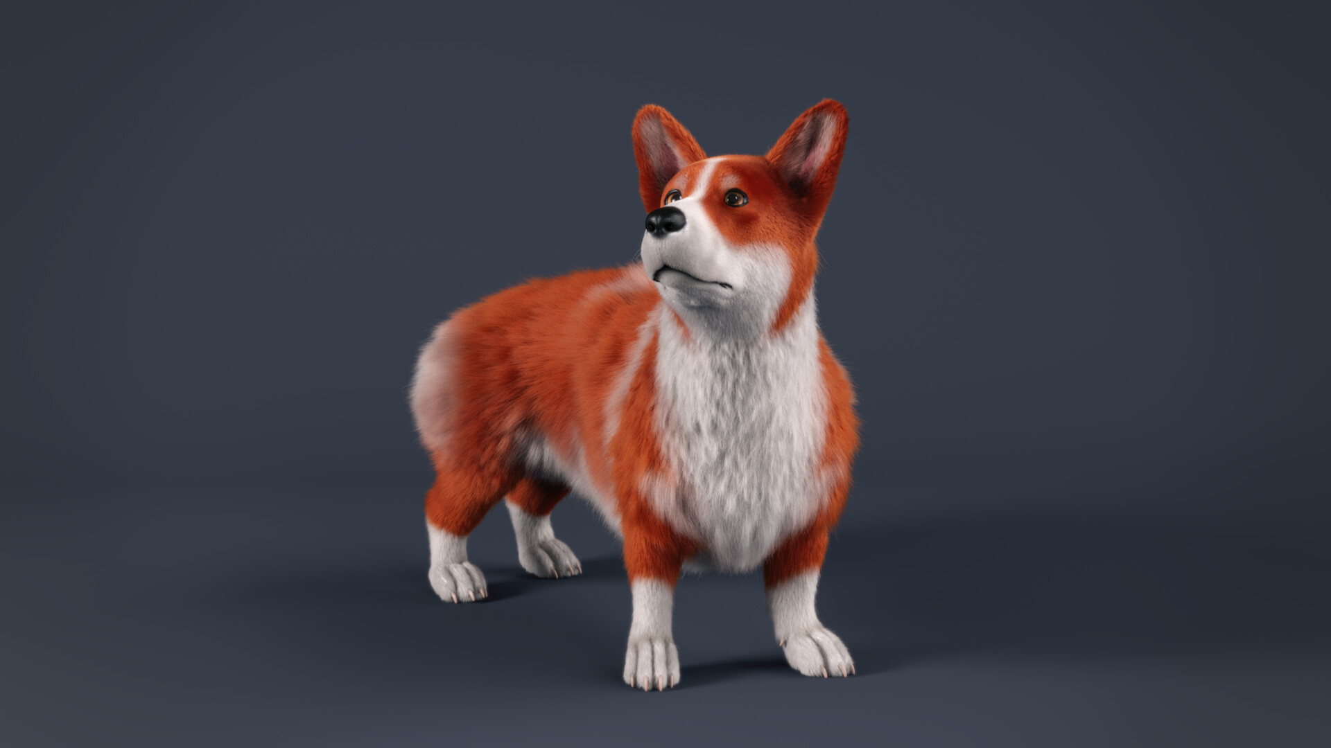 ArtStation - Corgi