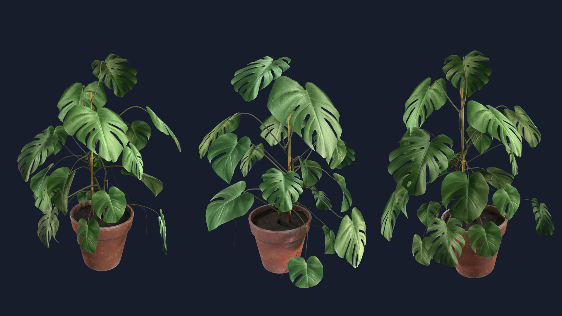 ArtStation - Monstera - 3D model