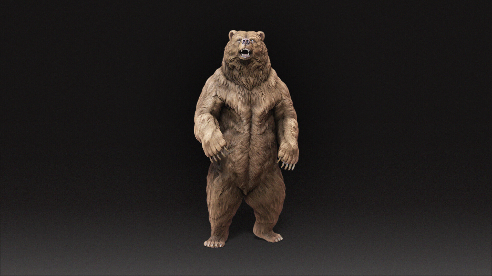 ArtStation - Bear Study