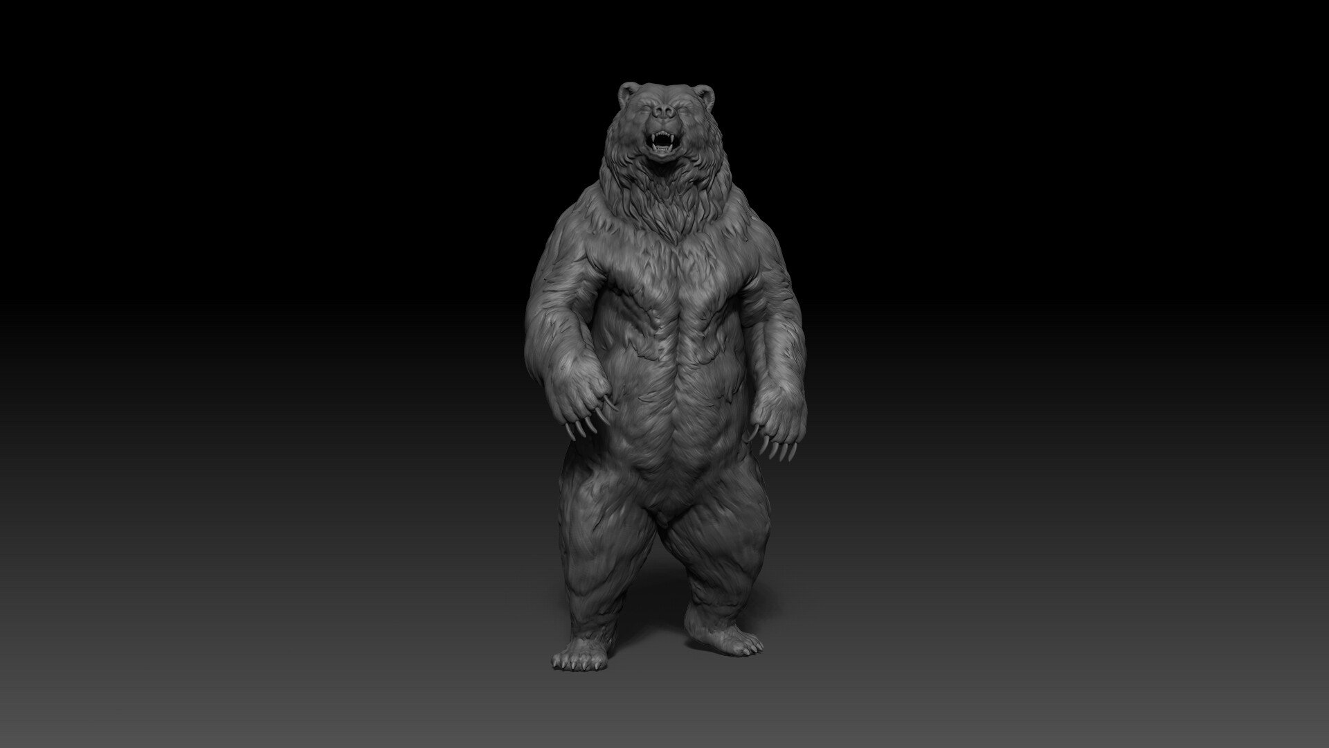 Andrei Ionut - Bear Study