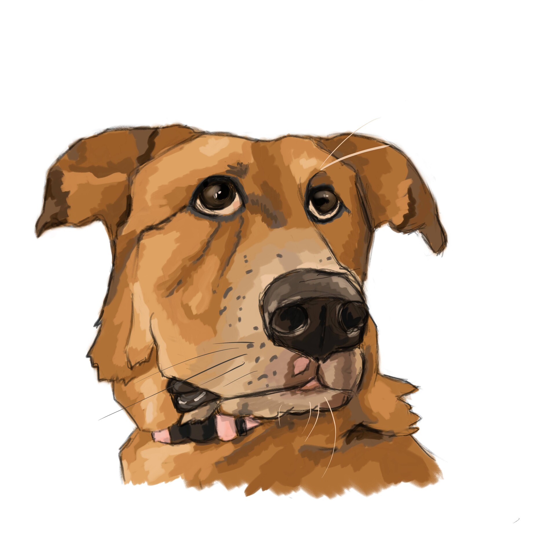 ArtStation - Confused Doggo