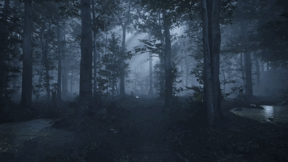 forest gif