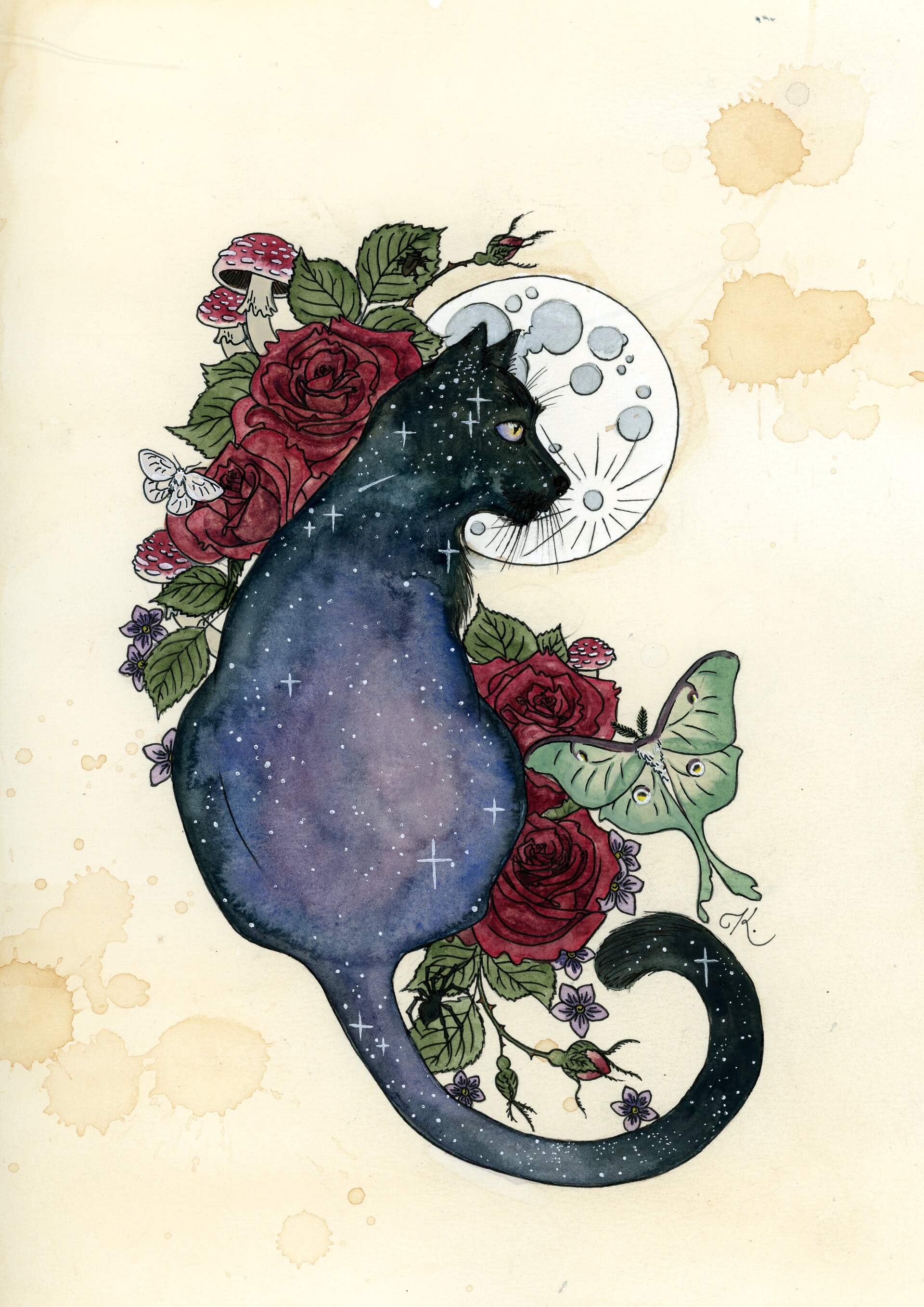 ArtStation - Cosmic Cat