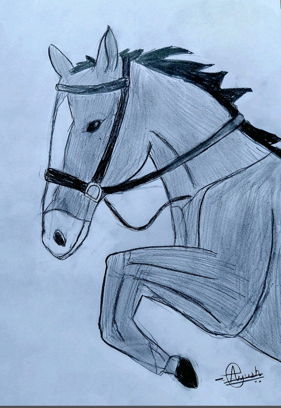 how to draw a horse galloping step by step