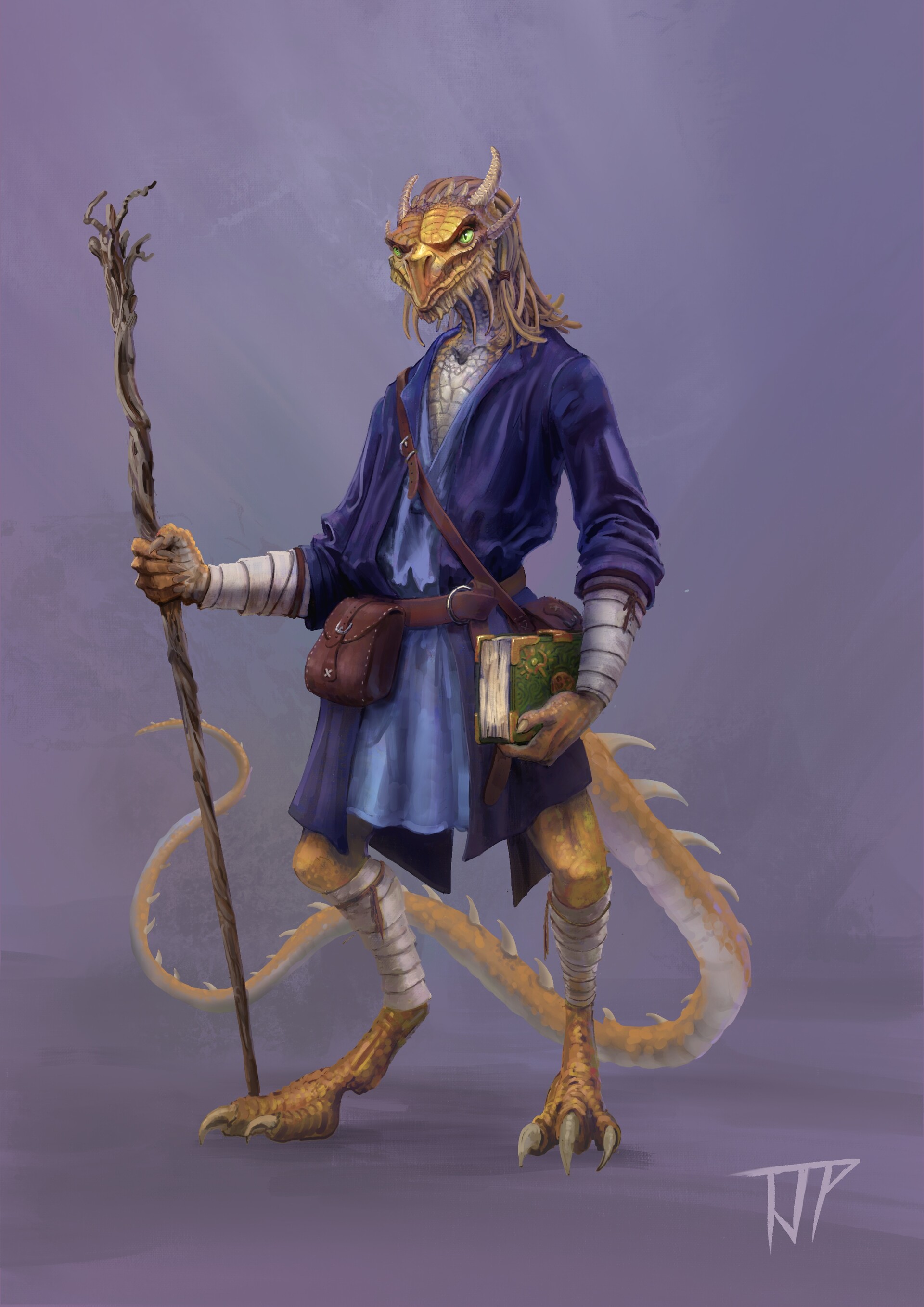 ArtStation - Tashi Garudo, Dragonborn wizard