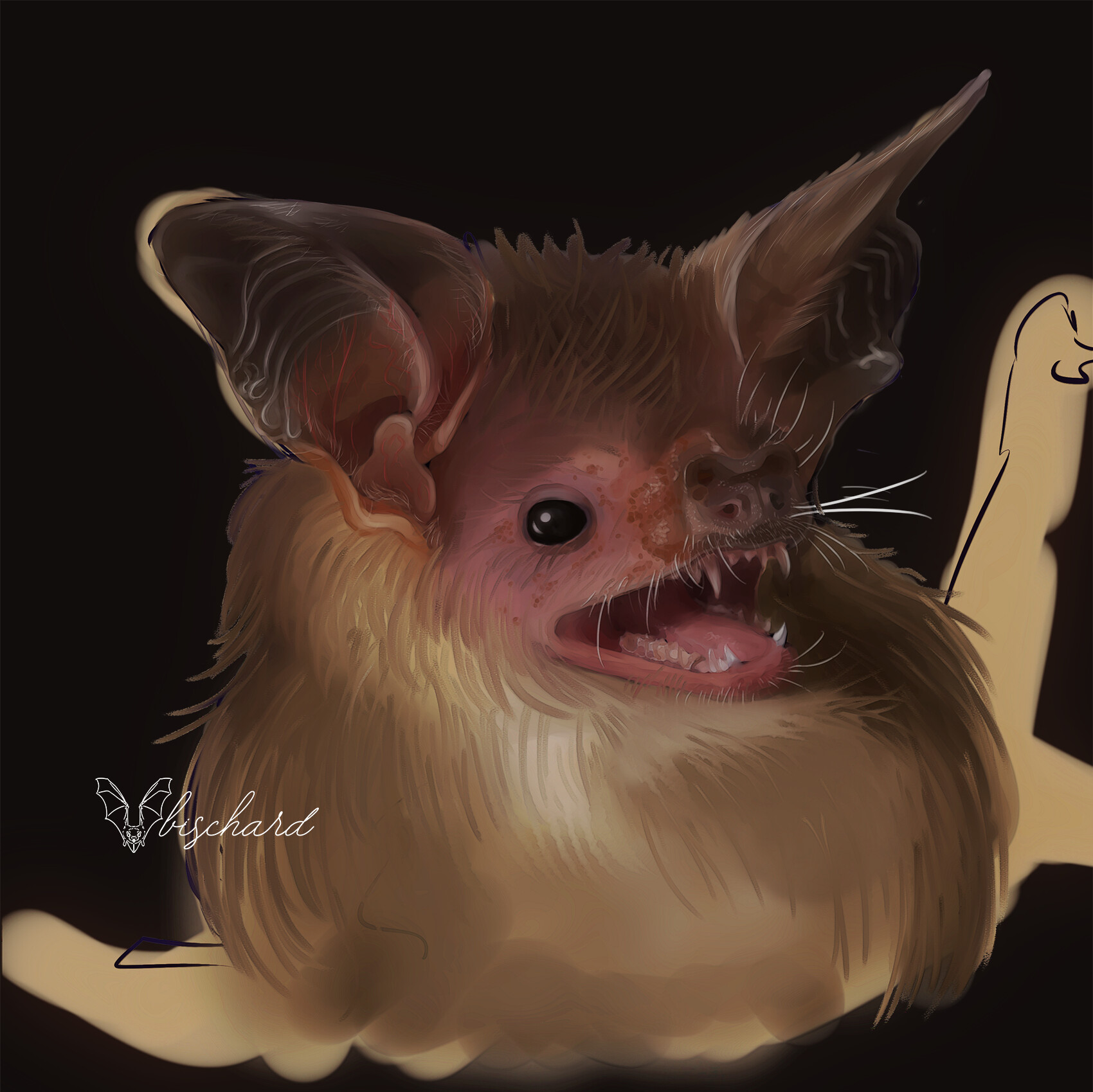 ArtStation - Gould's Long-eared Bat study