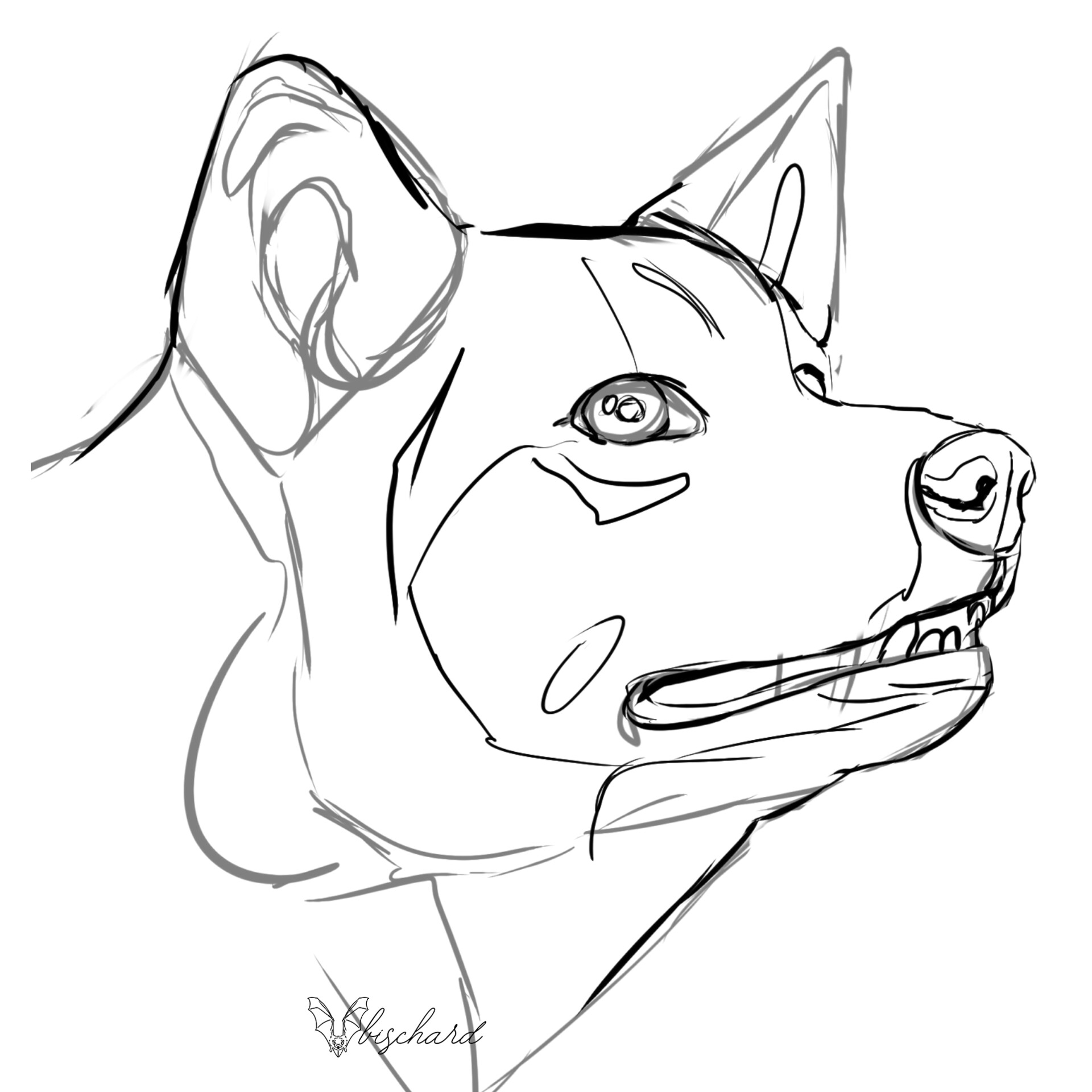 dingo face outline