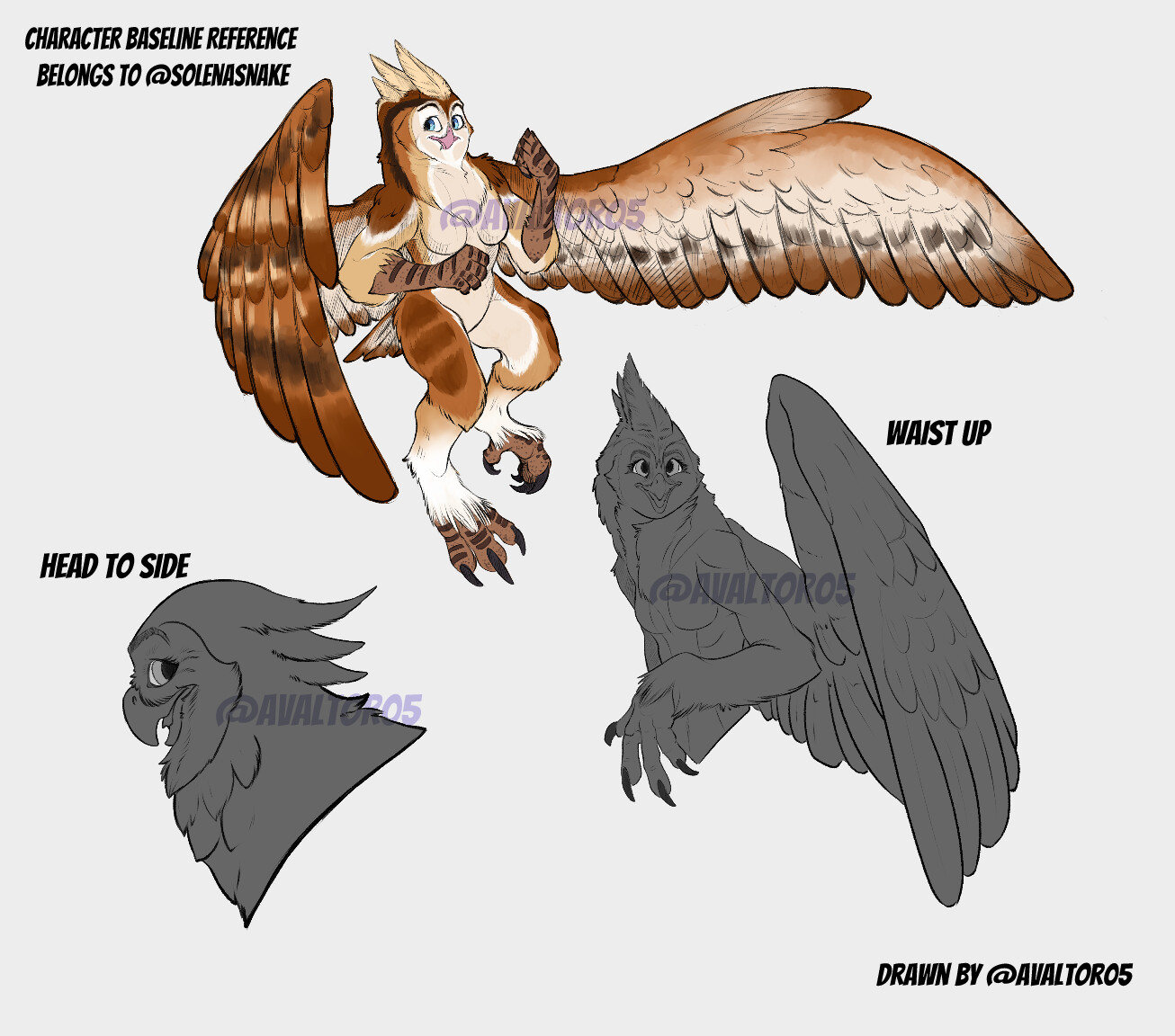 ArtStation - Owl Character Sketch