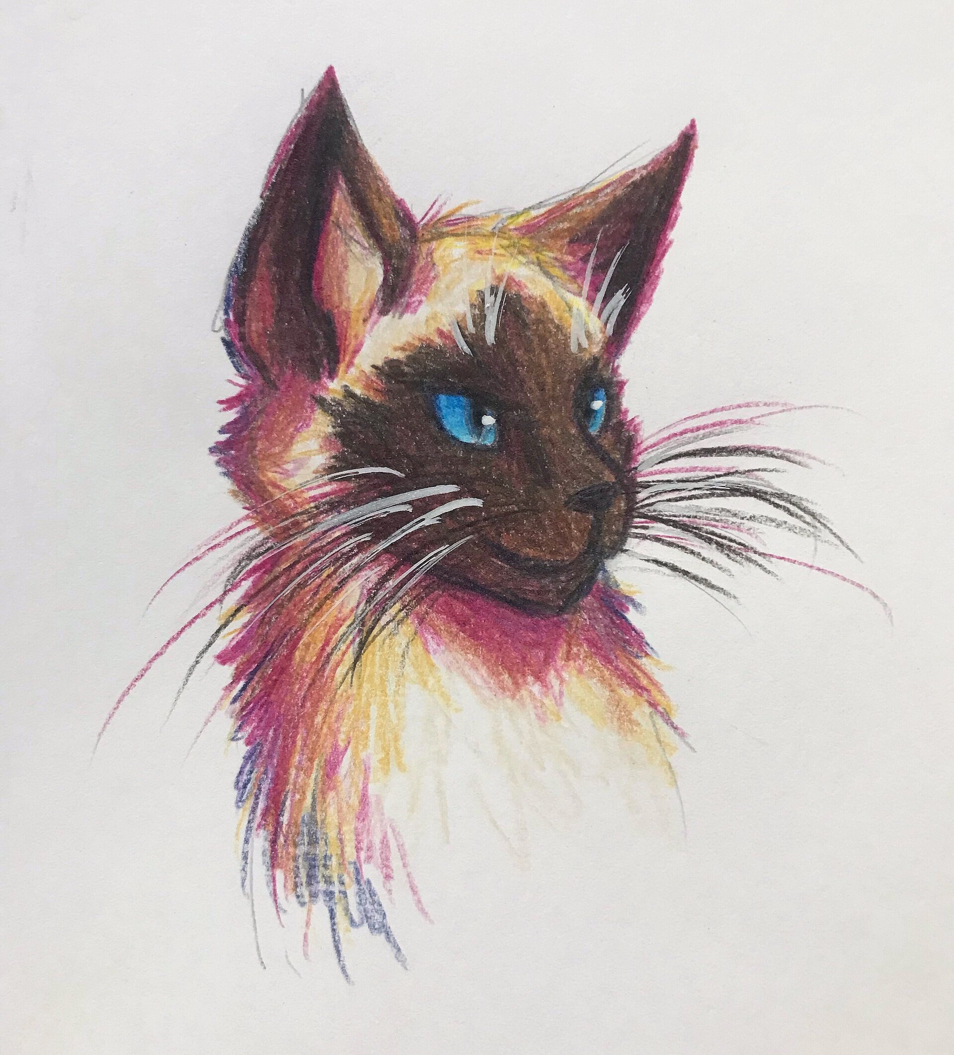 ArtStation - Little Cat