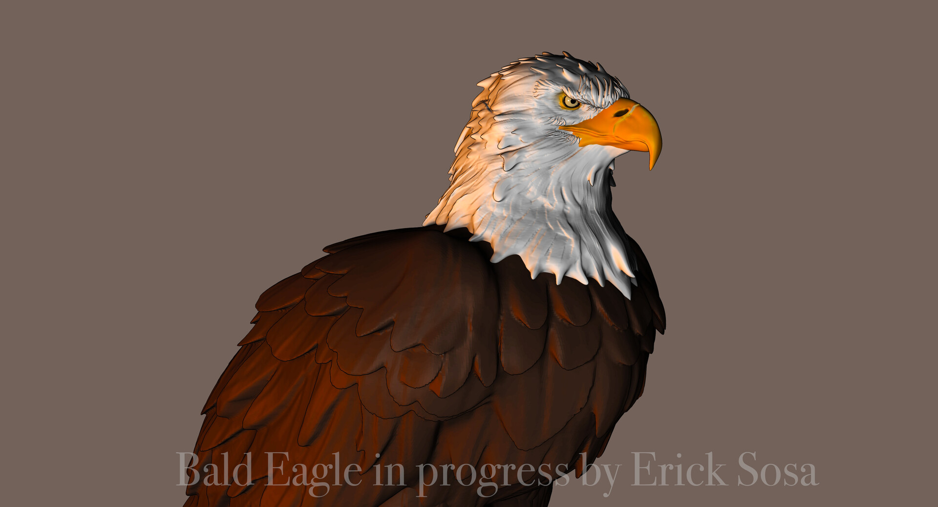 ArtStation - Bald eagle progress