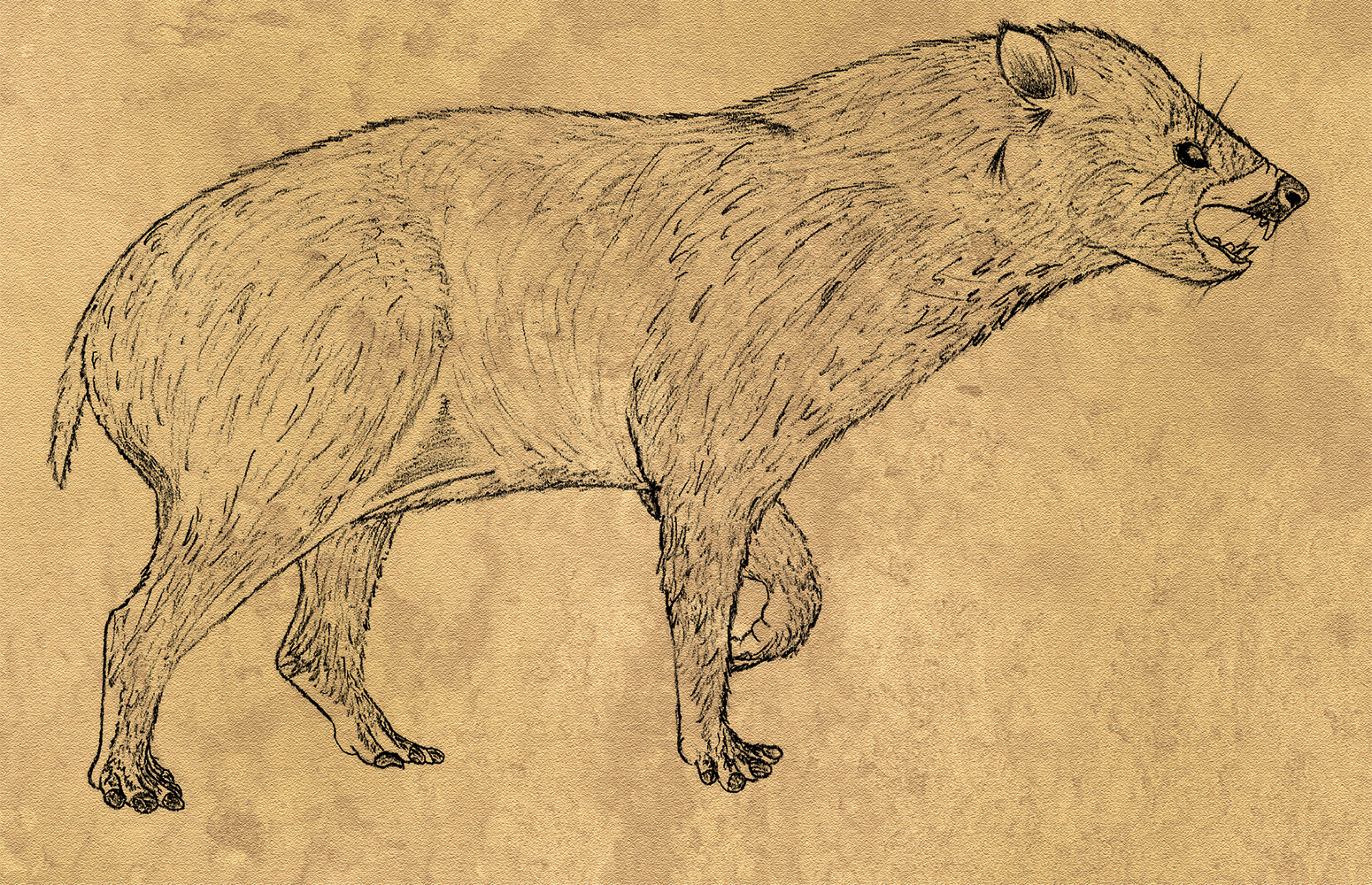 Phosphatherium