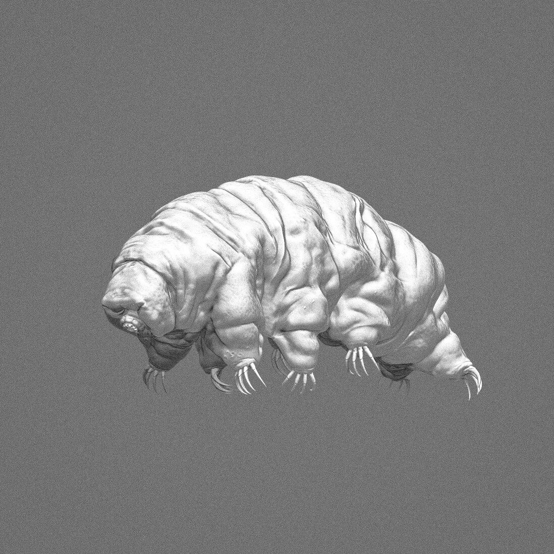Ryan Tyrrell - Tardigrade