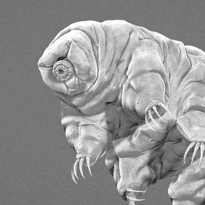 Ryan Tyrrell - Tardigrade