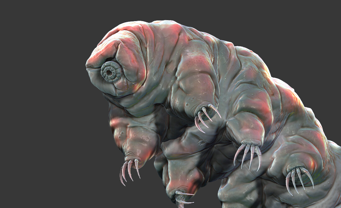 Ryan Tyrrell - Tardigrade