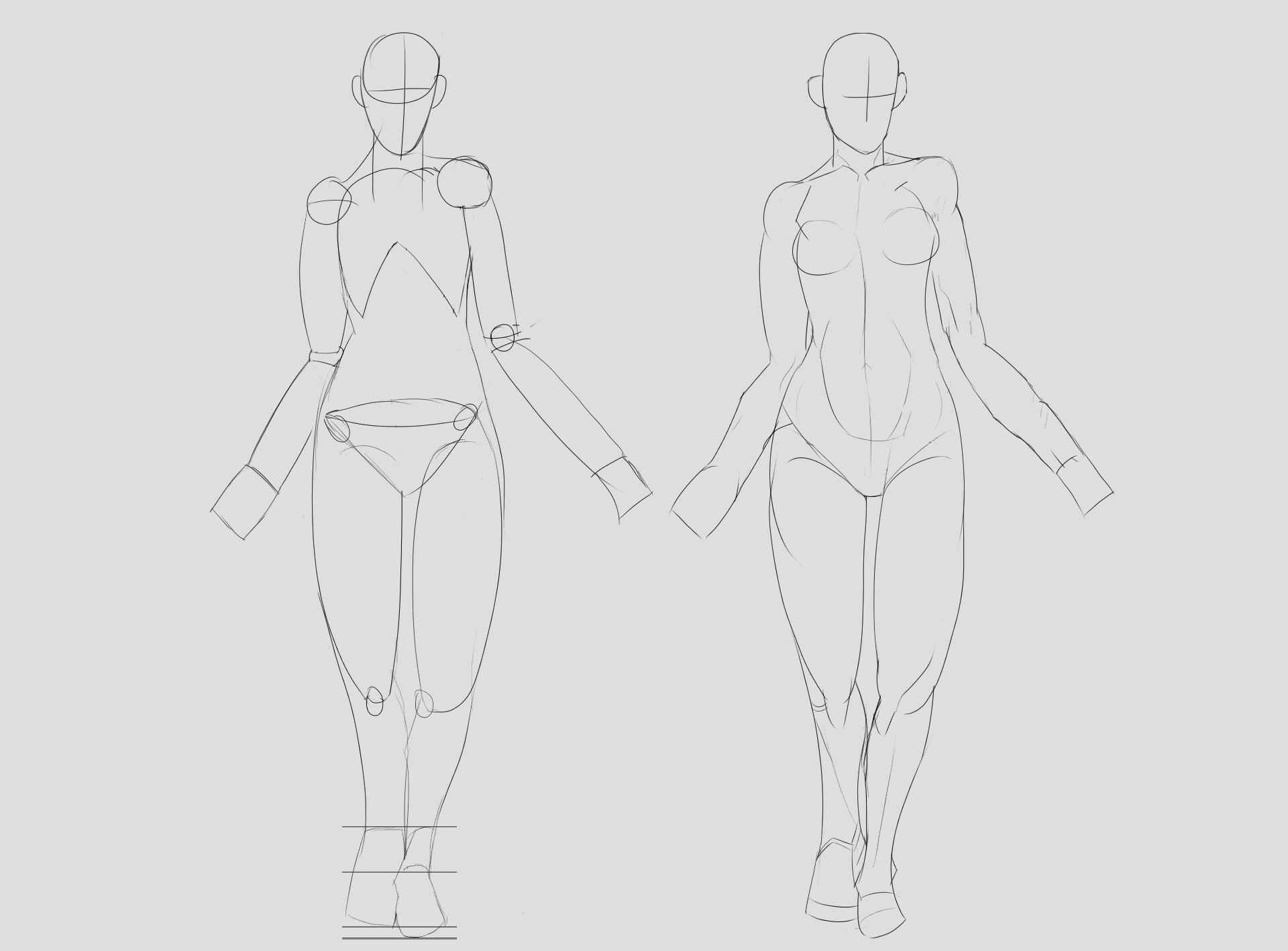 ArtStation - Female anatomy frontview
