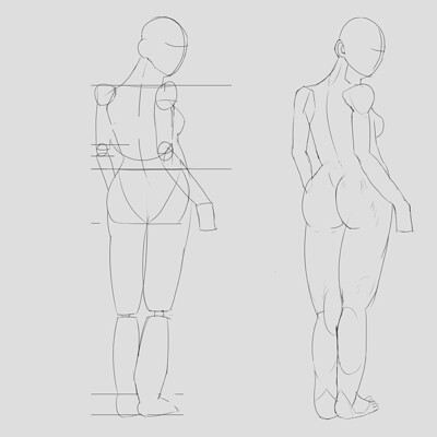 female back view reference