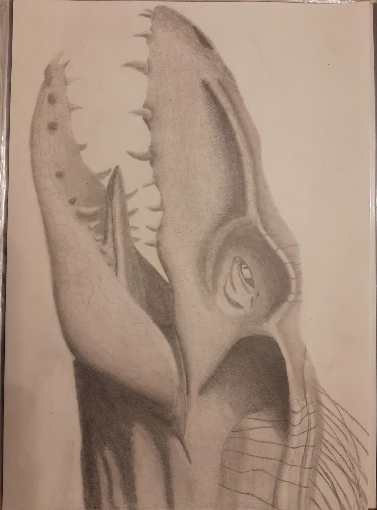 how to draw indoraptor head