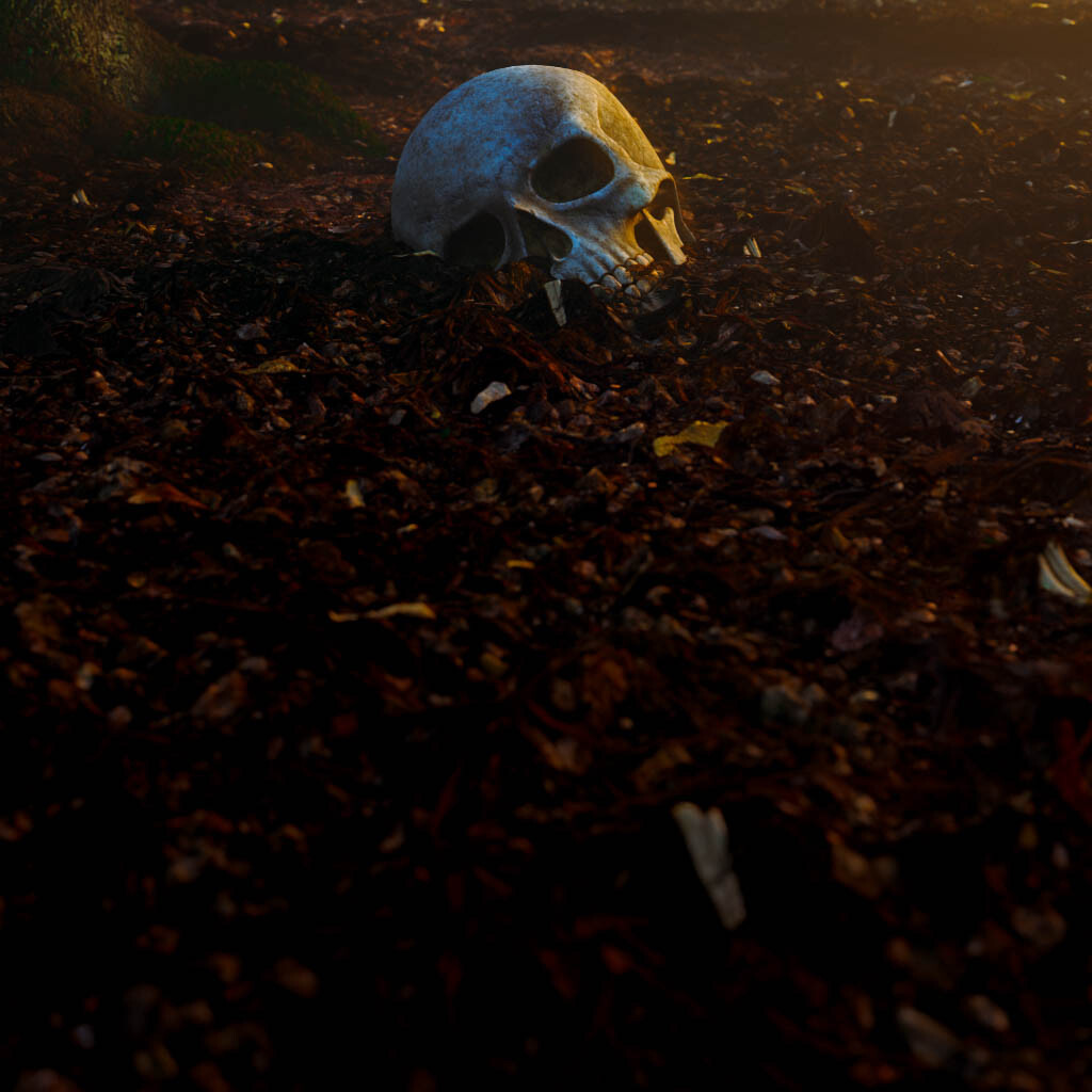 ArtStation - Skull in Forest