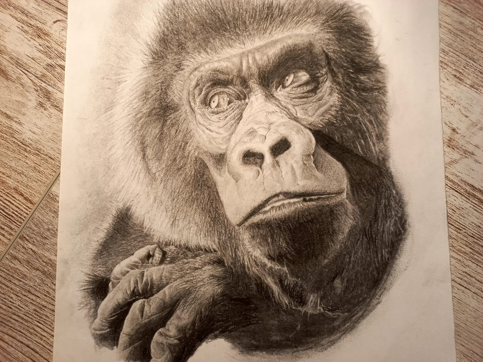 ArtStation - Charcoal animals