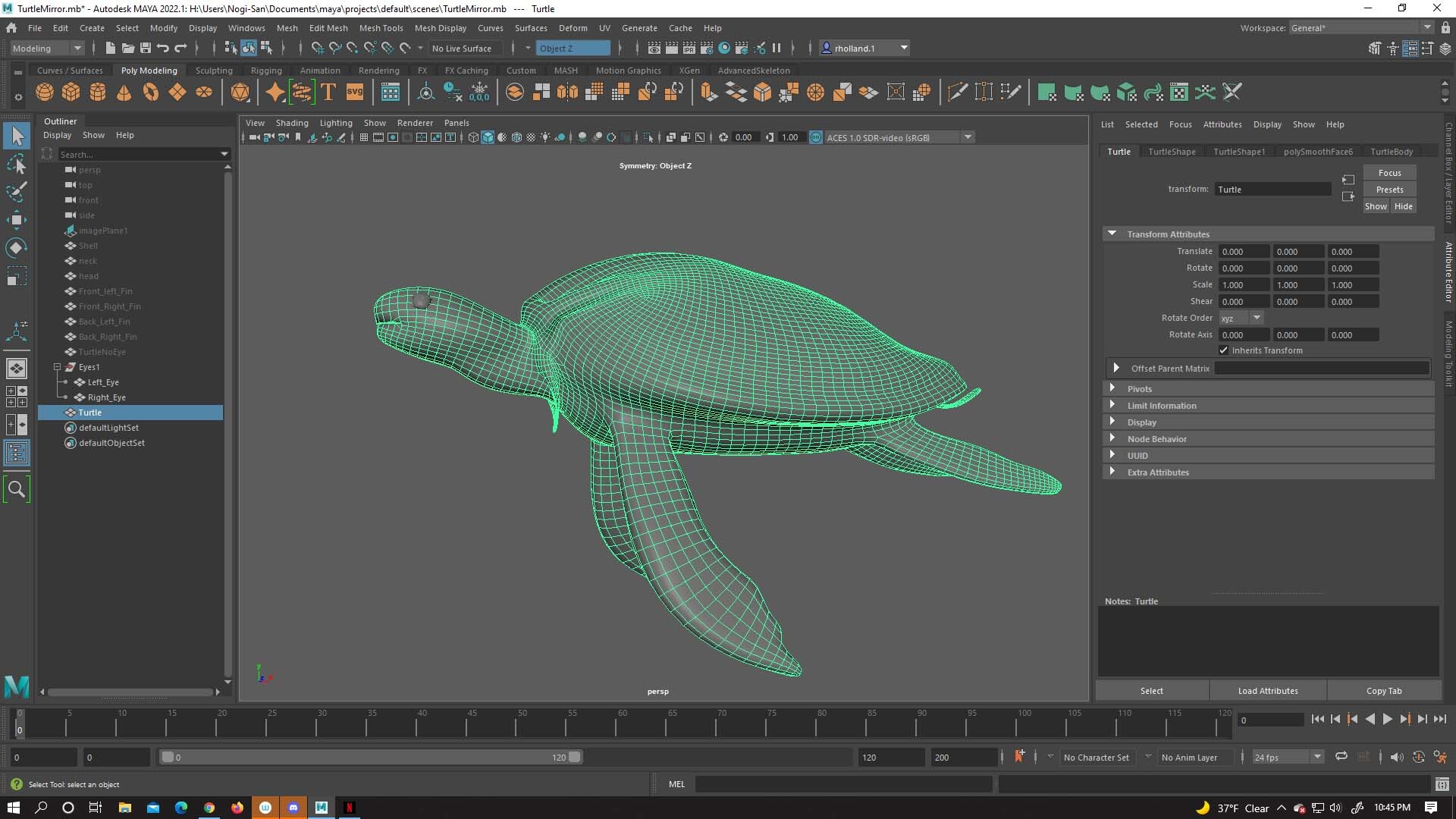 Ruth Nogi - 3D Sea Turtle Animation and Process
