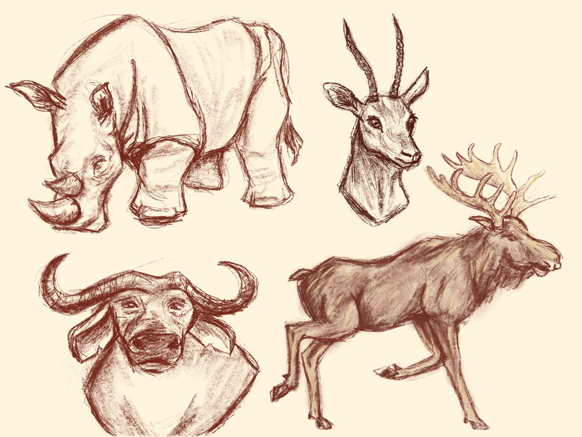 ArtStation - Animals sketch