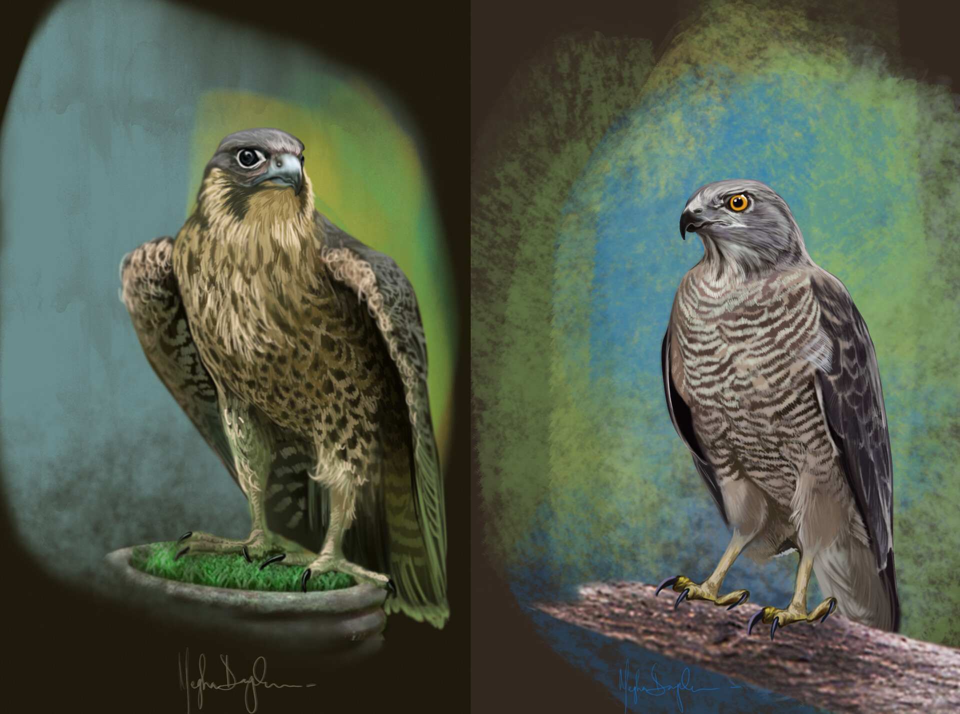 ArtStation - Eagles 🦅