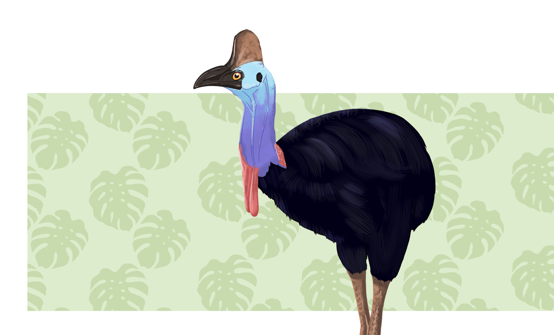 ArtStation - Cassowary