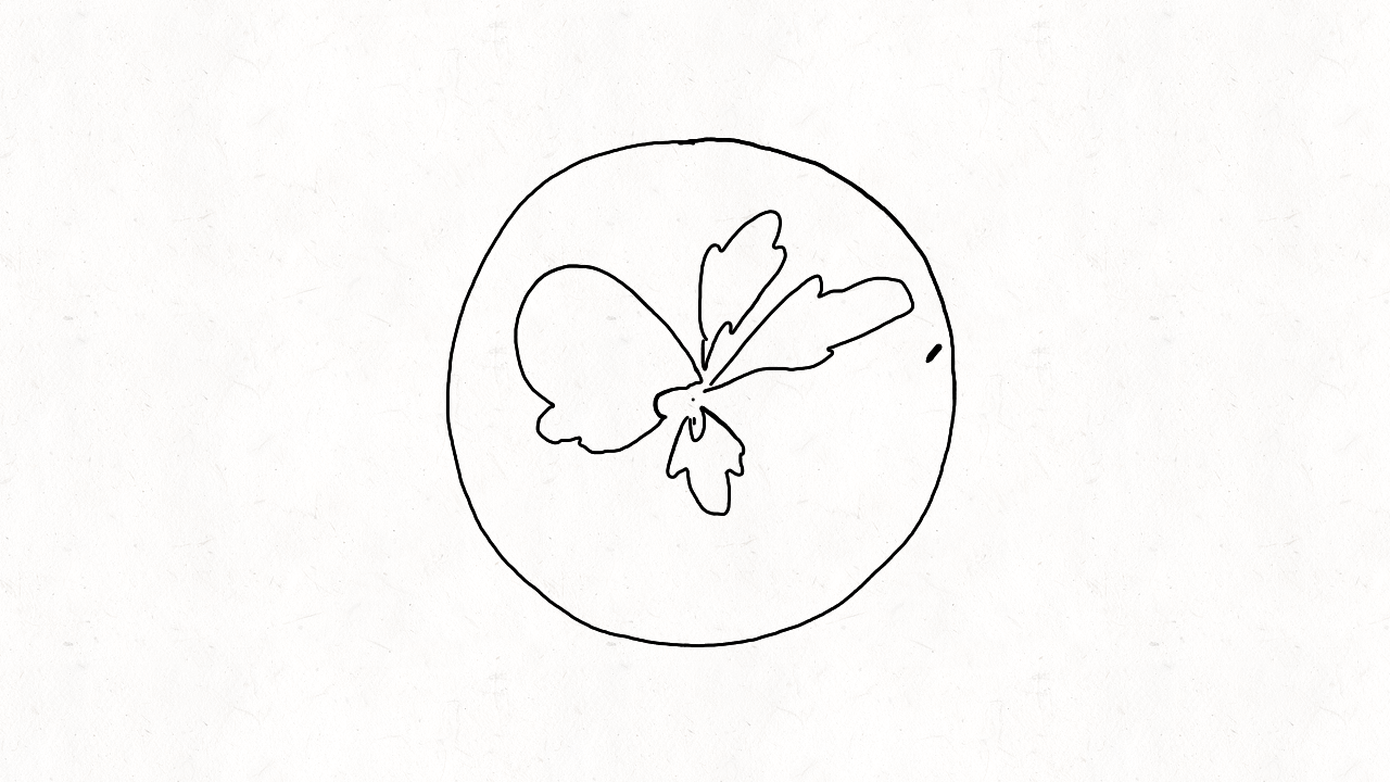 Jose Estrada - 2D Dissipation Studies 01 | Roughs