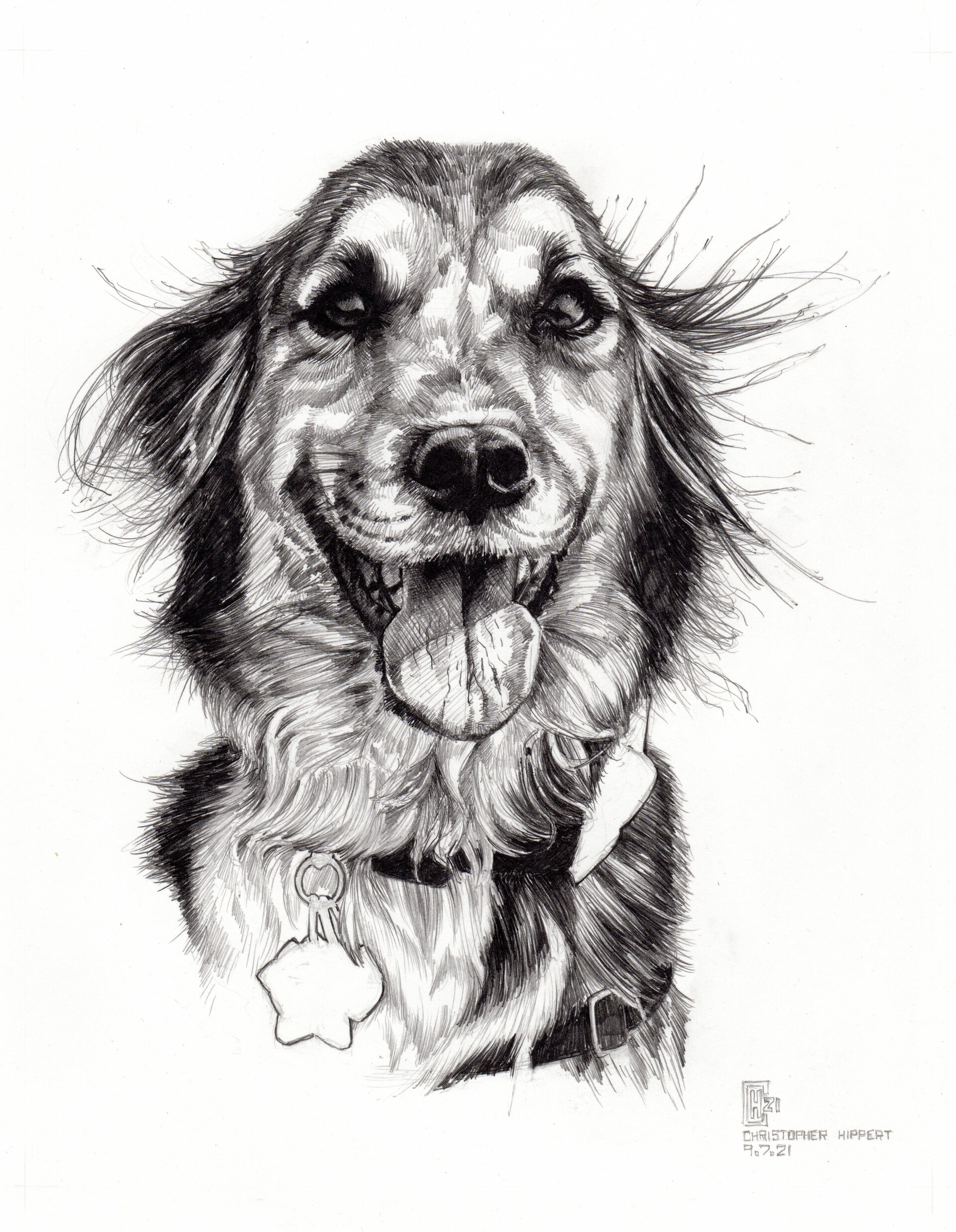 how to draw a dog portrait
