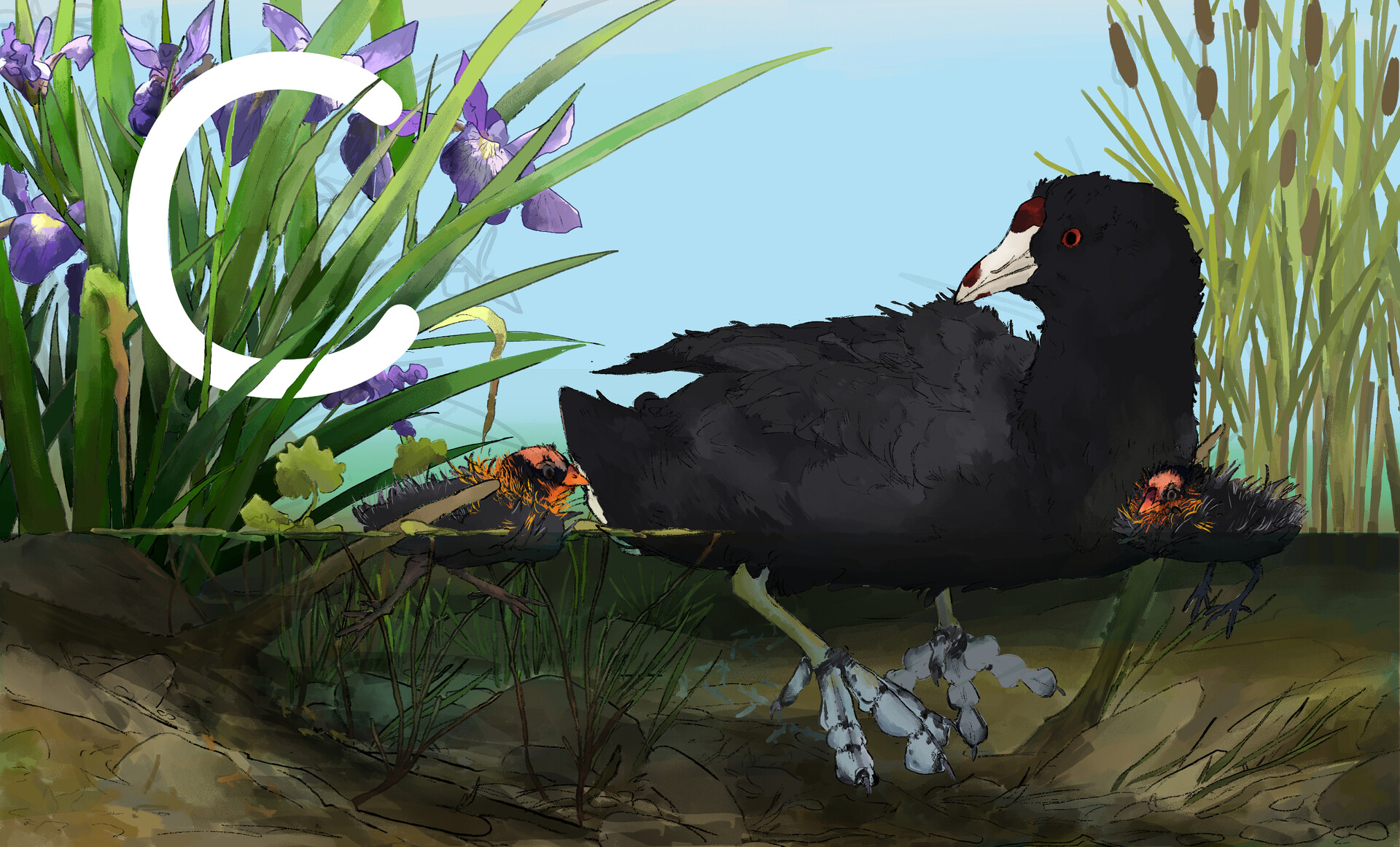 Ender - ABC Page project redo