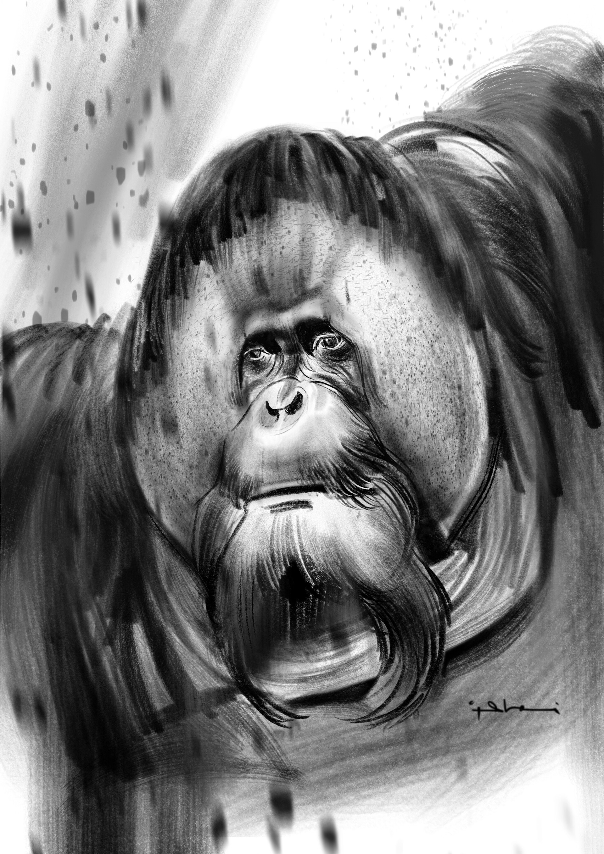 ArtStation - Great Primates