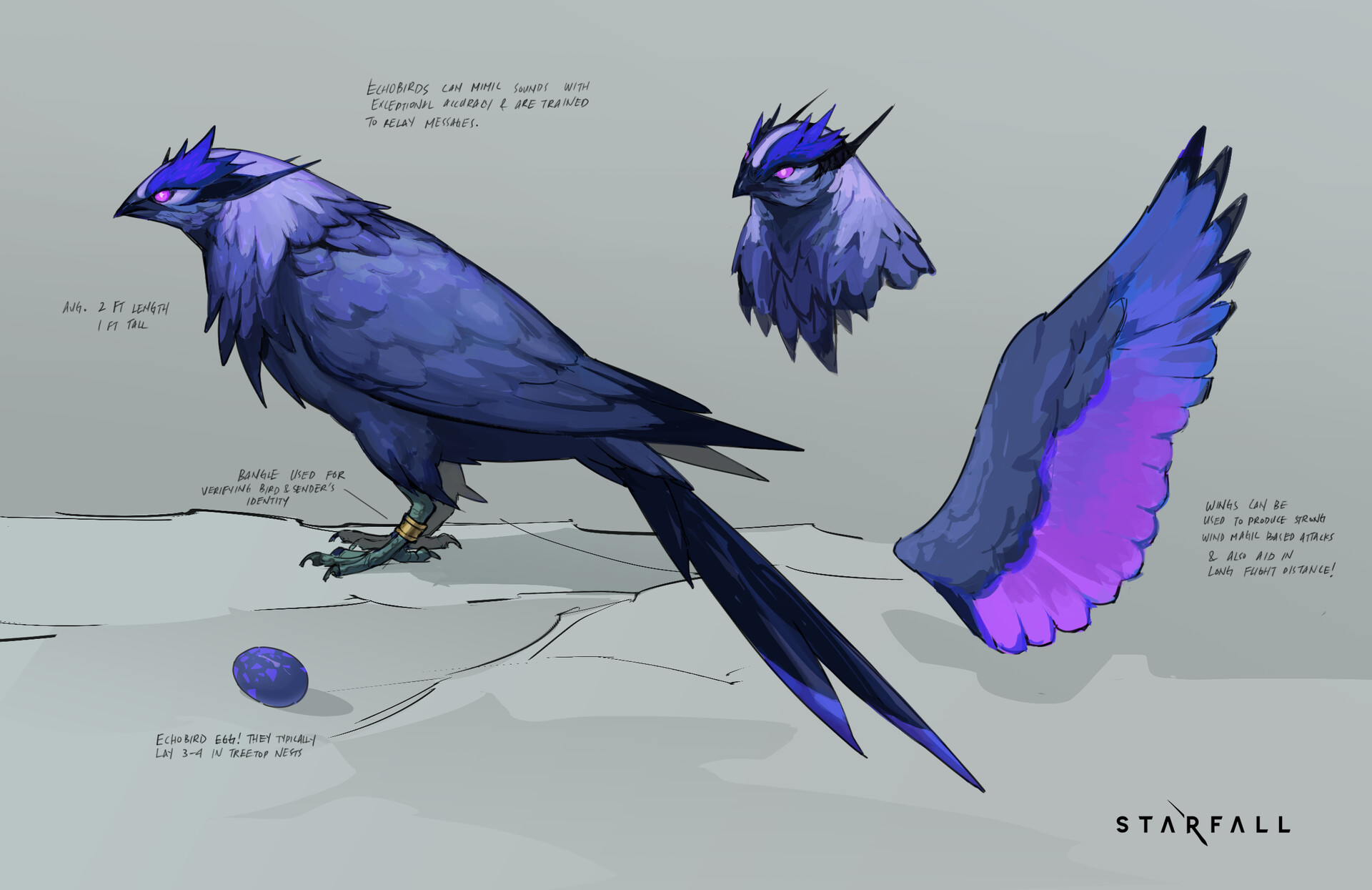 Celine Zhang - Starfall Echobird