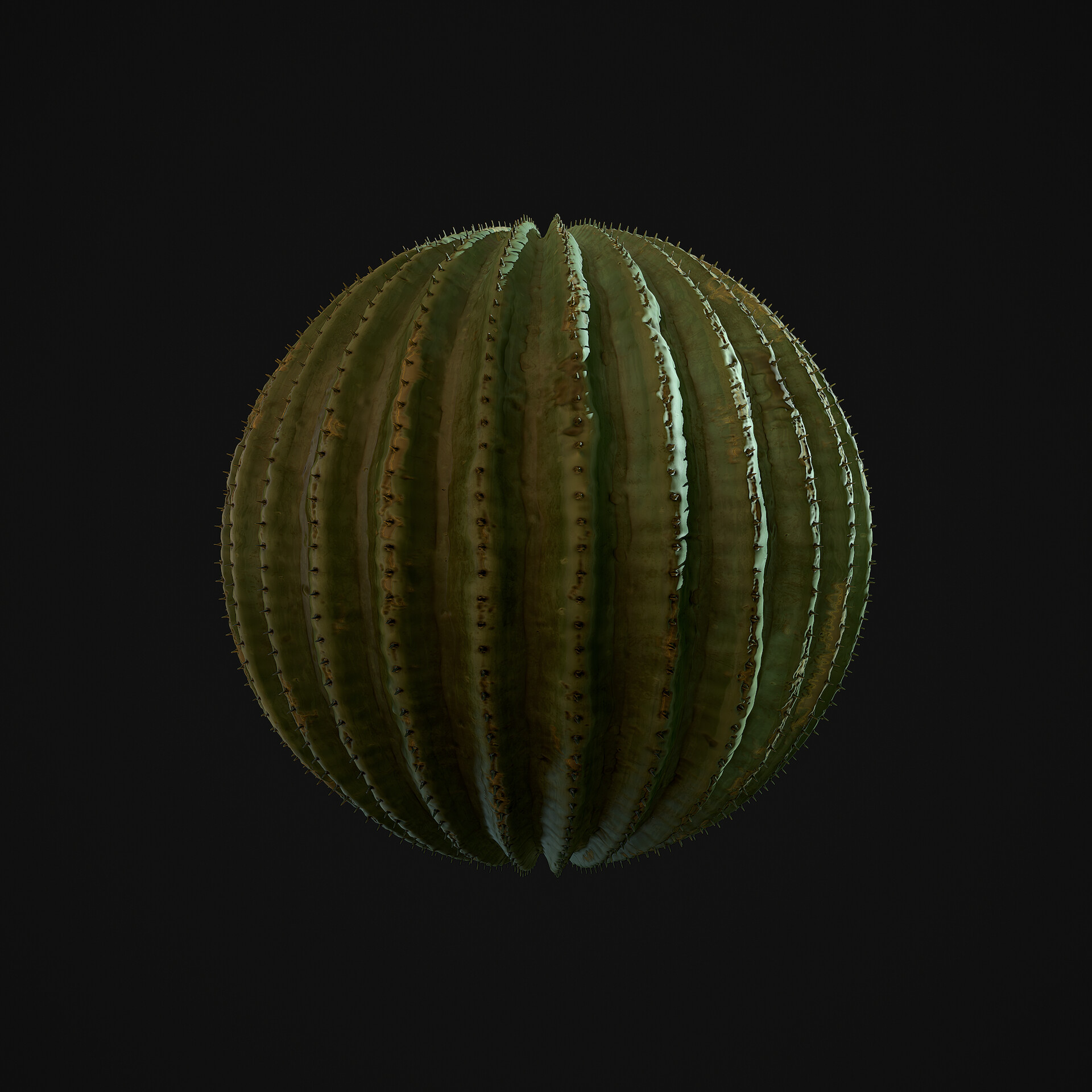 ArtStation - Cactus material