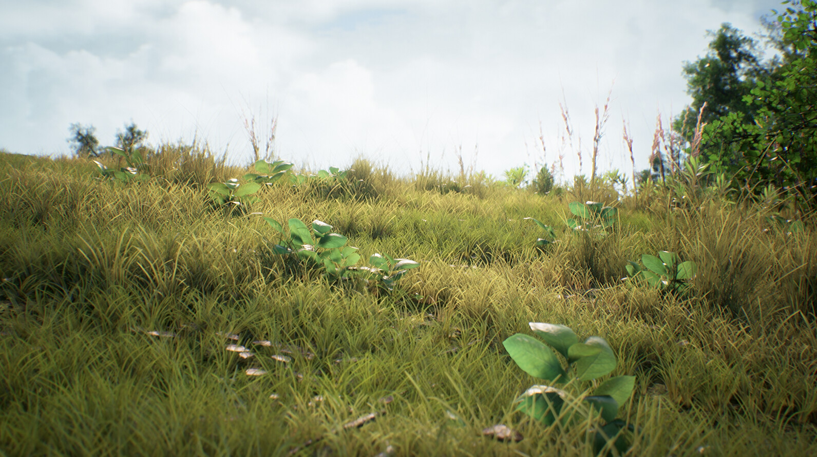 ArtStation - Grass