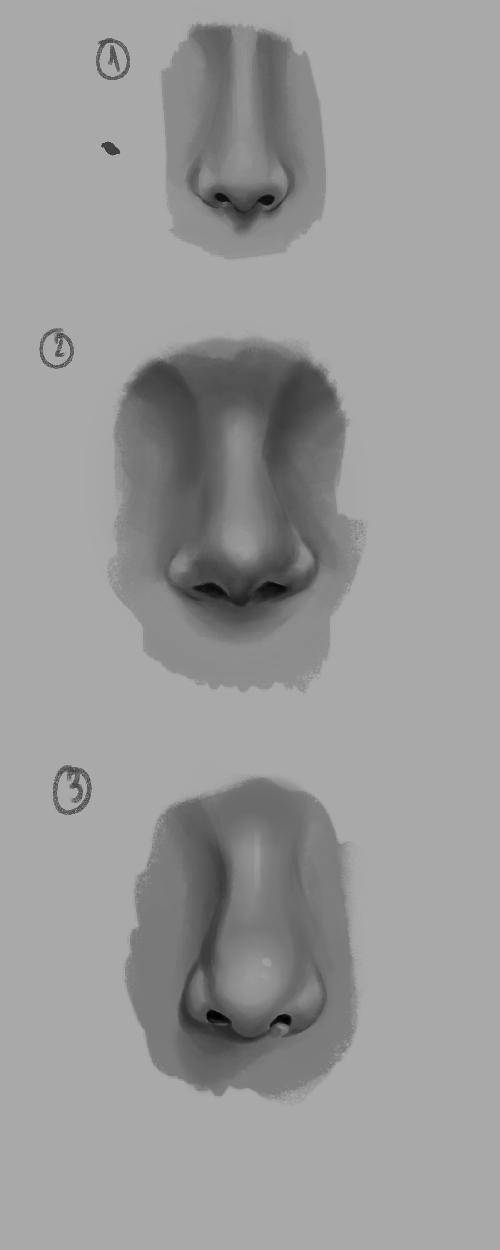 ArtStation - Nose Studies