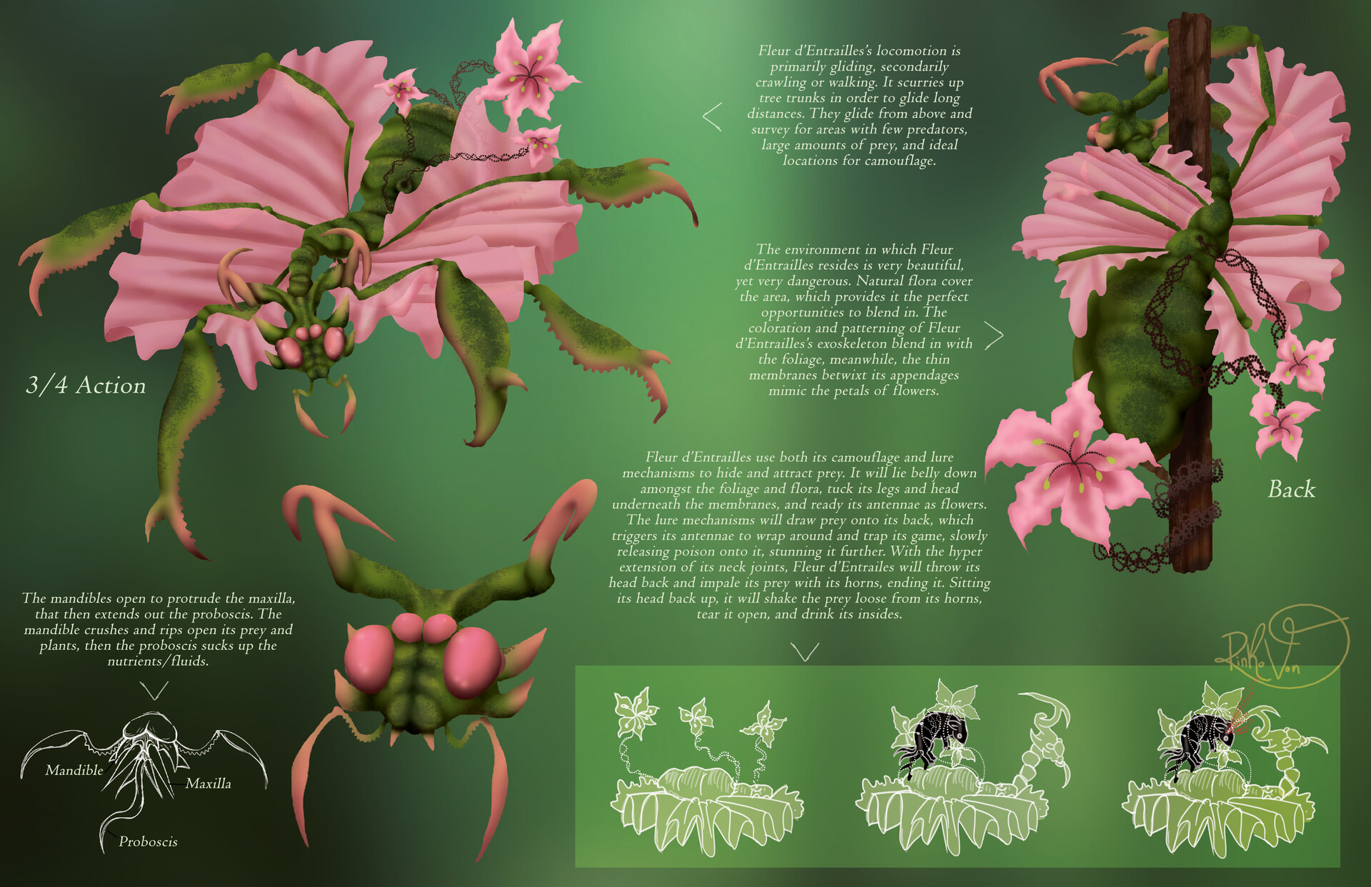 ArtStation - Fleur D'Entrailles page2