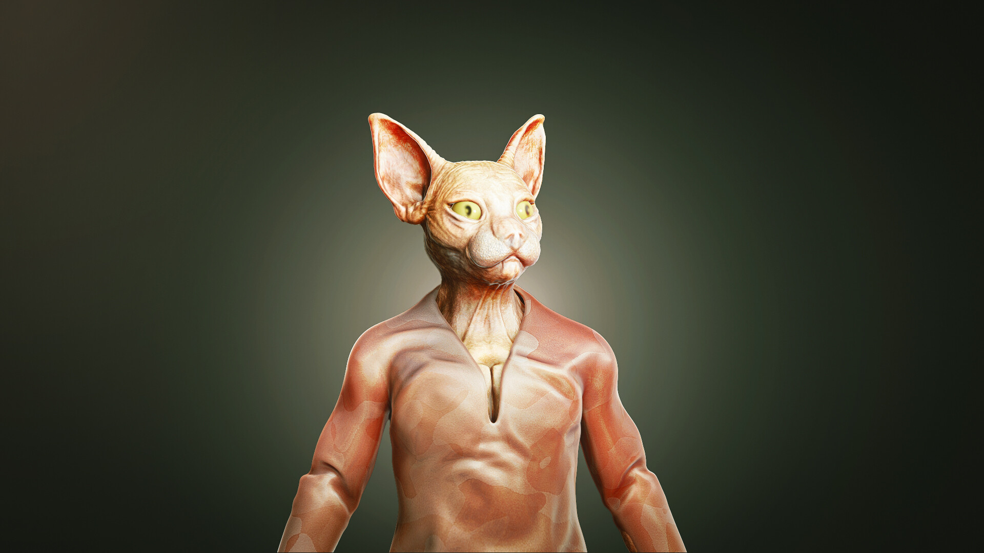 ArtStation - sphynx cat Humoid