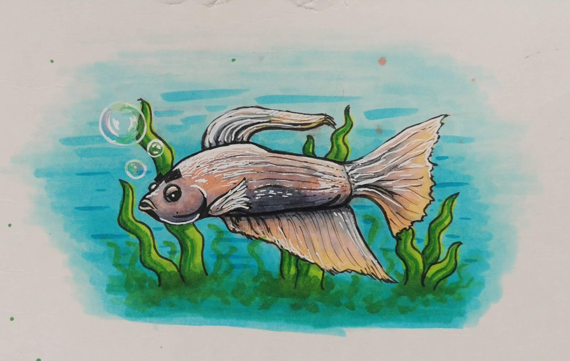 ArtStation - Angry Fish