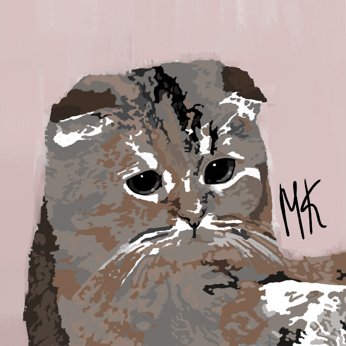 ArtStation - cat mem