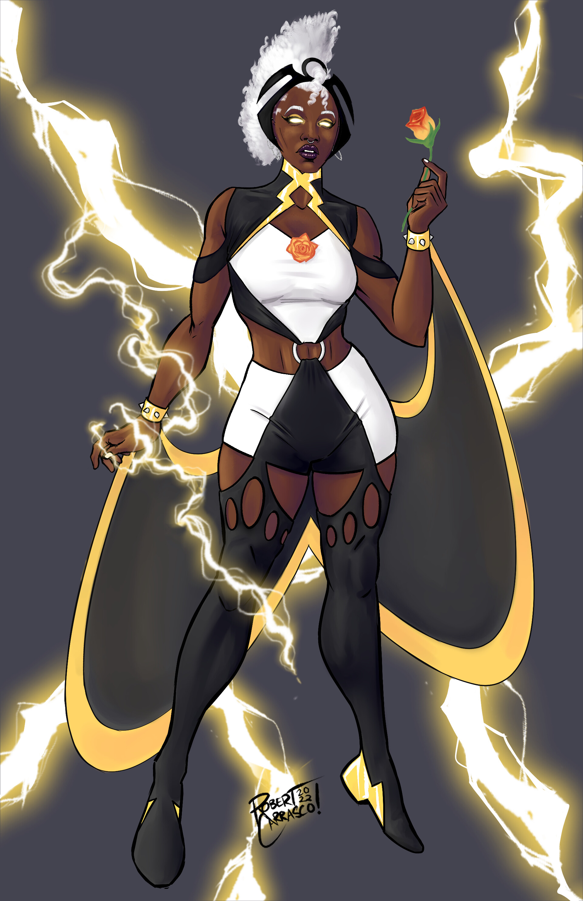 ArtOfRobertCarrasco - STORM Redesign