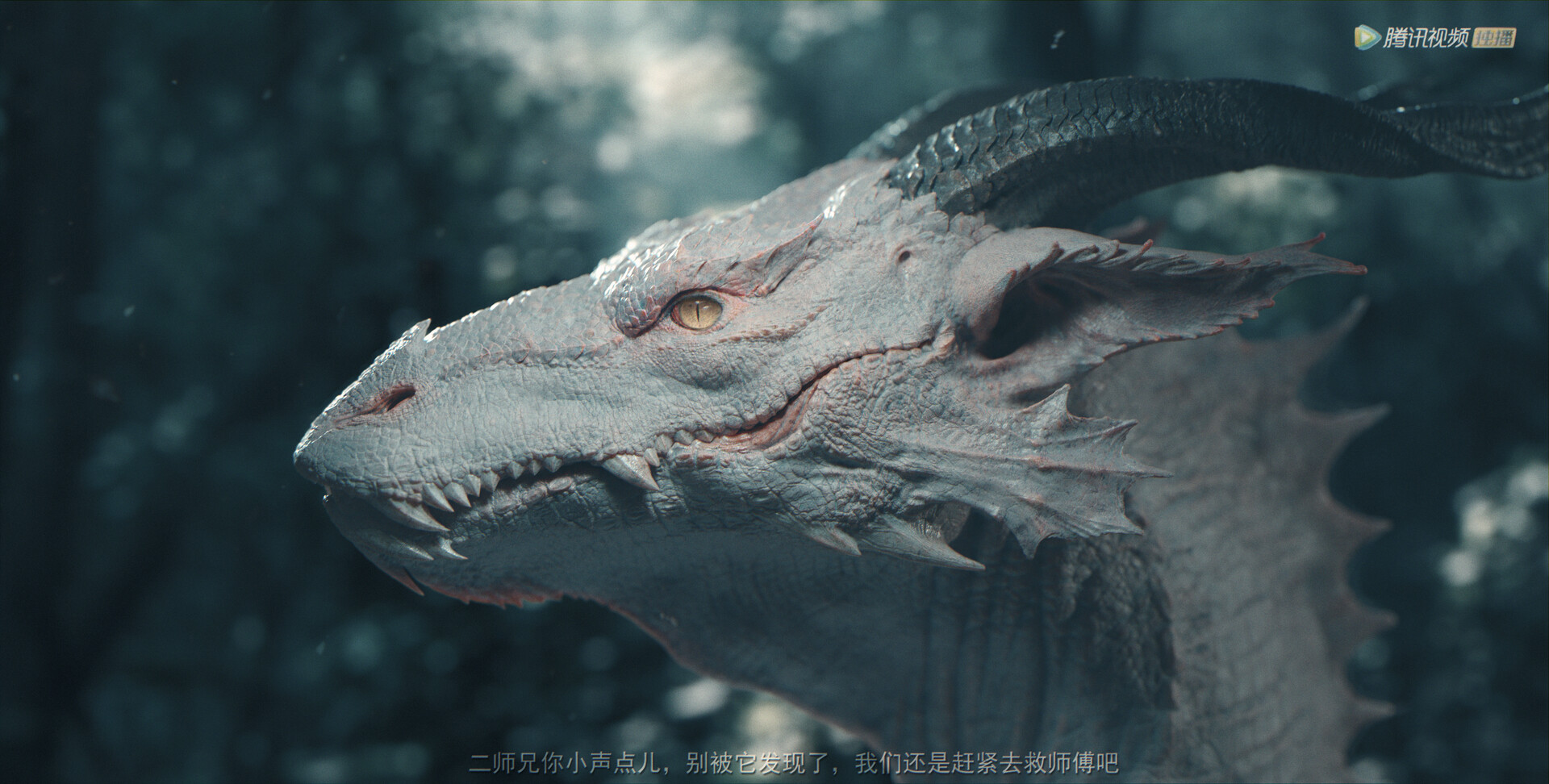 lin lei - The dragon king