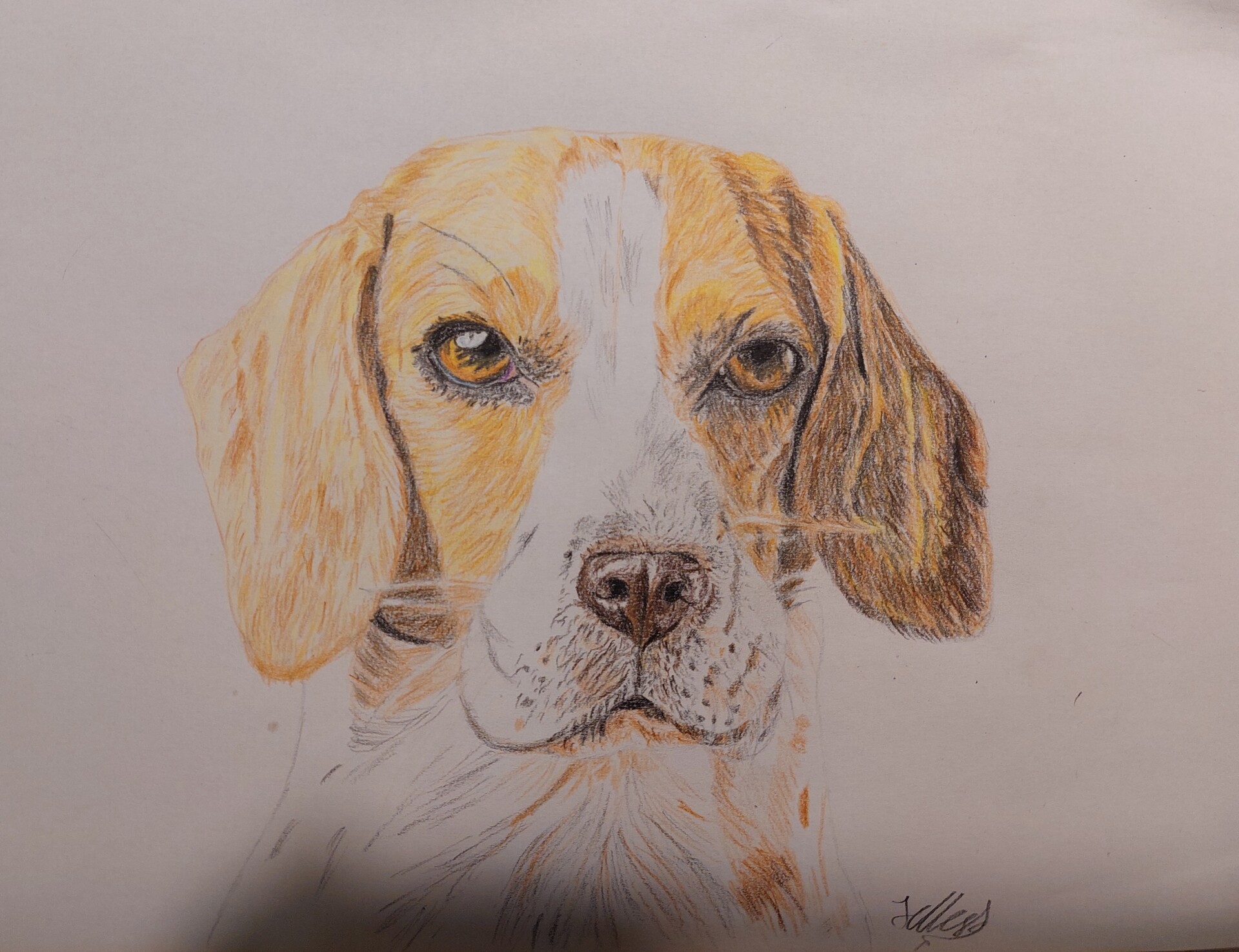 ArtStation - cute Dog drawing