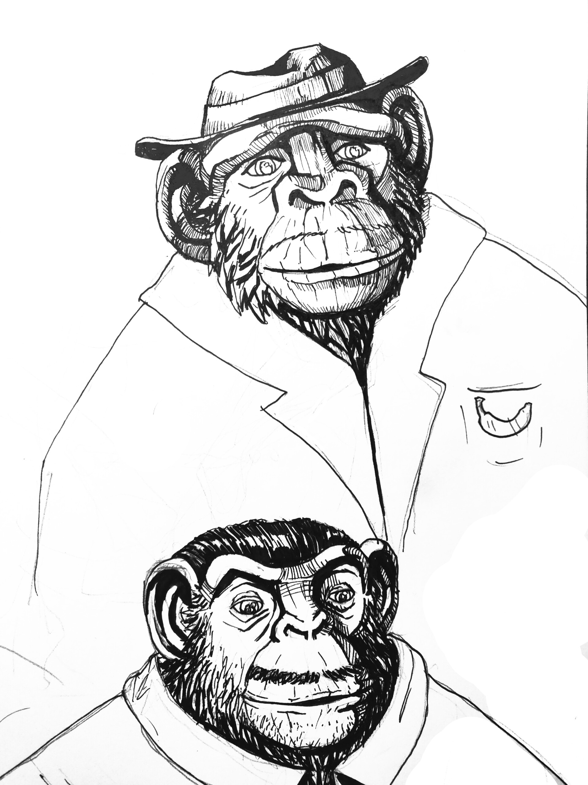 ArtStation - Monkey Mafia sketch