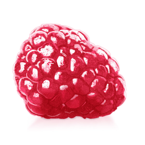 ArtStation - Raspberry