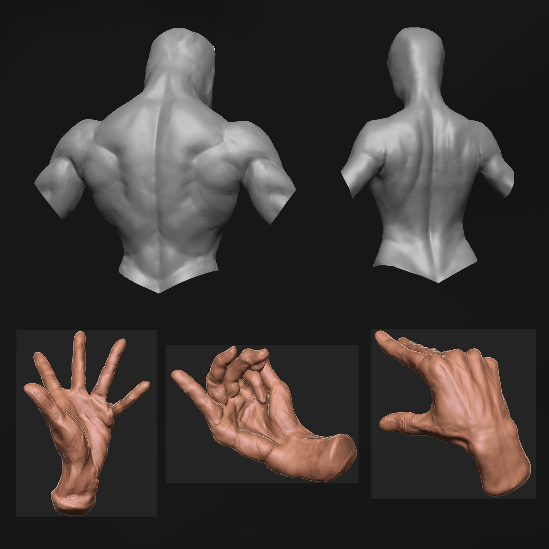 ArtStation - Anatomy sculpts
