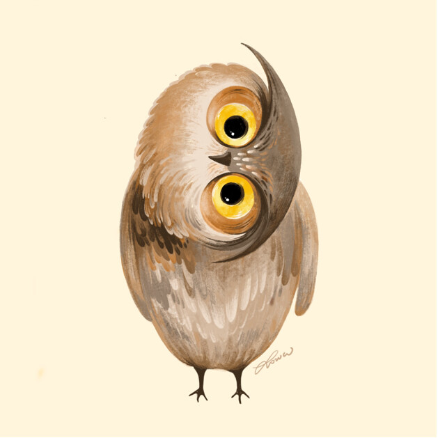 how to draw curious owl